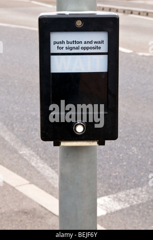 road traffic controller pedestrian crossing Moscow city .crowd of busy ...