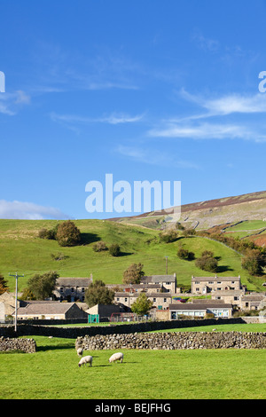 Swaledale sheep in the Yorkshire Dales, North Yorkshire, England Stock ...