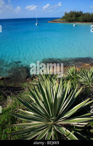 Landscape, Bermuda, Atlantic Ocean, Central America Stock Photo - Alamy