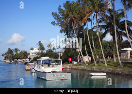 Bermuda, Smith's Parish, Flatts village, palms across Flatts inlet ...