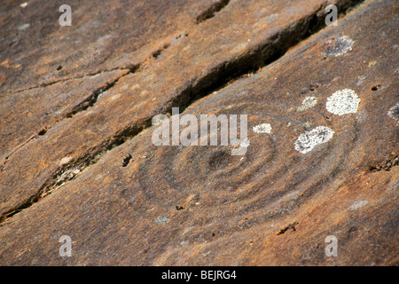 Prehistoric cup and ring mark carved stone rock art outcrop at ...