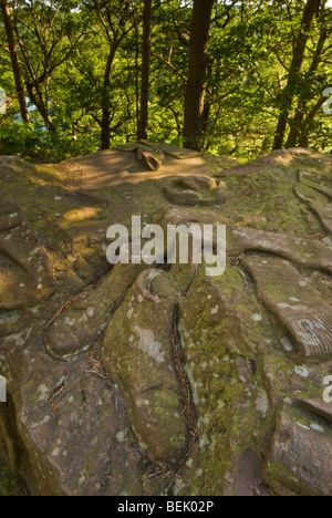 Sculpture trail beside the the River Eden at Armathwaite,Cumbria ...