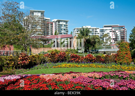 Roma street park garden Brisbane Australia Stock Photo - Alamy