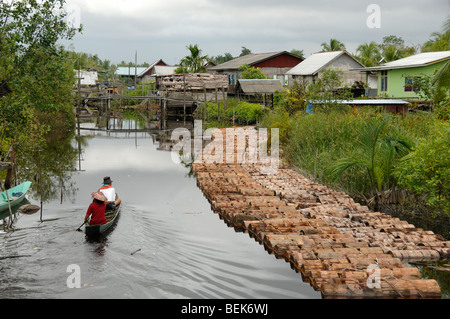 Cut Sago Logs in River & Swampland on the Melanau Tellian Kampung or ...