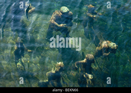 Denmark. Copenhagen. The Merman and his seven sons, belonging to the ...