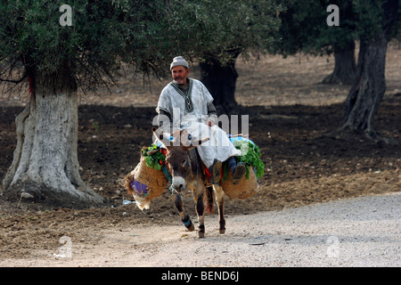 A Man Riding A Donkey Laden With A Heavy Load; Kasr Bounou, Souss-Massa ...