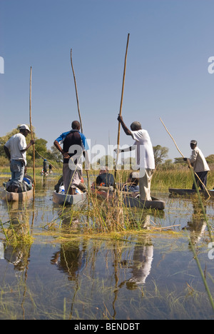 Okavango Delta, Botswana, Africa Stock Photo - Alamy