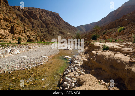 Tadra Gorge, Morocco Stock Photo - Alamy
