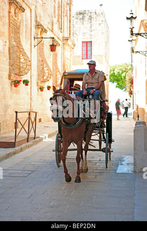 A Karozzin, Horse & Carriage, in Mdina, Malta Stock Photo - Alamy