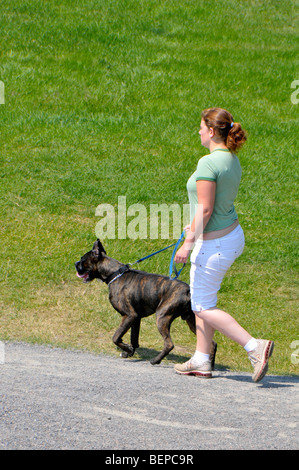 Girl with a dog. A girl walks with a dog on a leash through a ...