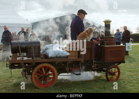 a live steam enthusiast driving his scale model steam lorry Stock Photo ...