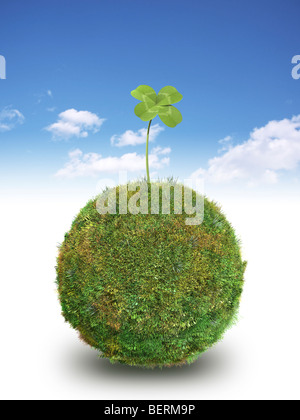 Grass and clover Stock Photo - Alamy