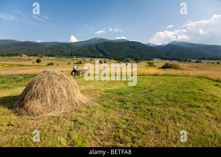 Traditional hayrick, Bulgaria Stock Photo - Alamy