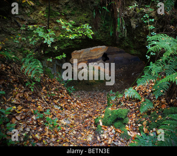 sandstone cave entrance in dark. sand covered ground. latvia Stock ...