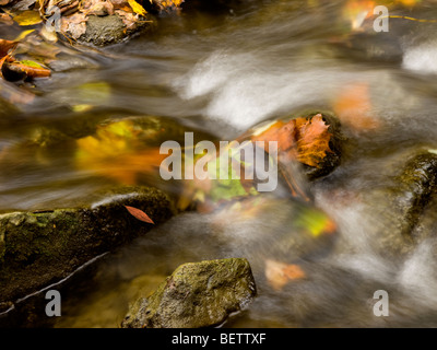 Autumn scenes with rushing stream Stock Photo - Alamy