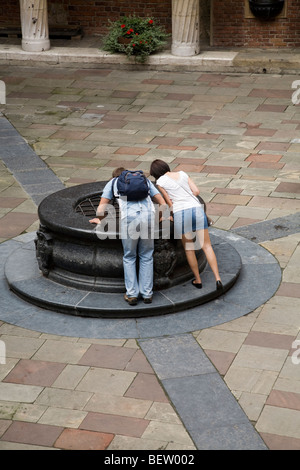 Boy looking into wishing well Stock Photo - Alamy