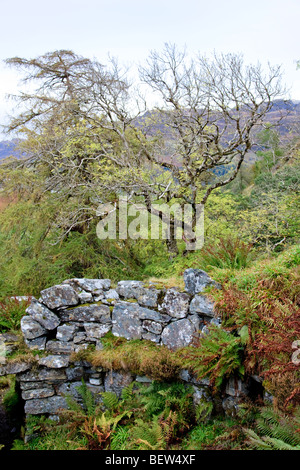 Caistel Grugaig Broch at Totaig Stock Photo - Alamy