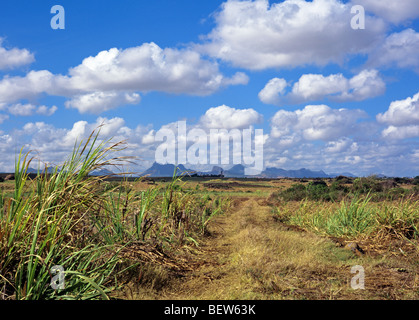 Moka Mountain Range Mauritius Stock Photo - Alamy