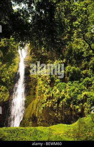 Waterfall in a forest, Papeete, Tahiti, French Polynesia Stock Photo ...