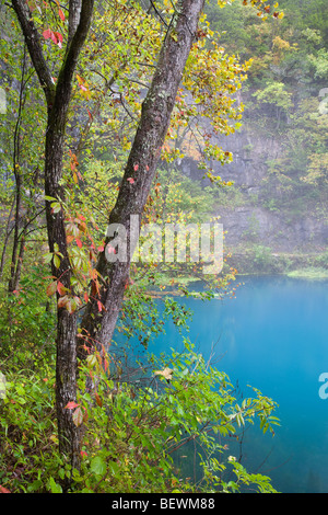 Alley Spring, Ozark National Scenic Riverways, Missouri Stock Photo - Alamy