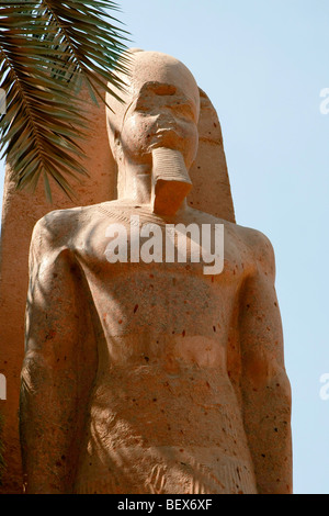 The Stela of Apries at Memphis, near Cairo, Egypt Stock Photo - Alamy