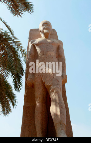 The Stela of Apries at Memphis, near Cairo, Egypt Stock Photo - Alamy