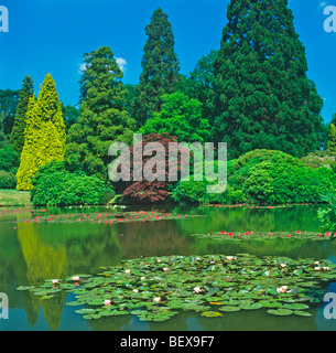 Sheffield Park Garden Stock Photo - Alamy