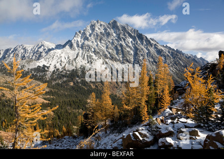 Mount Stuart with Larch Trees turning gold in the Autumn, Lake Ingalls ...