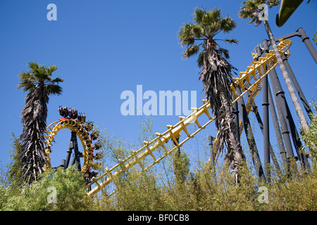 Cobra Roller Coaster. Ratanga Junction Theme Park,Cape Town,Western ...