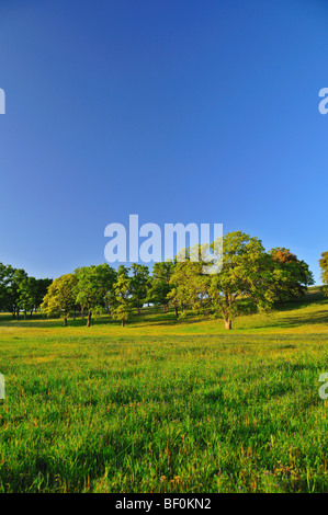 Springtime landscape along highway 40 in central California Stock Photo ...