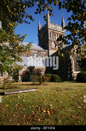 Wimborne Minster Church famed for its chained library and tomb of King ...