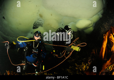 ice diving, ice diver with safty rope, White Sea, Russia Stock Photo ...