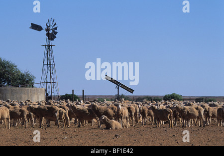 Australian outback, sheep ranch with cowboys and motorbikes, solar and ...