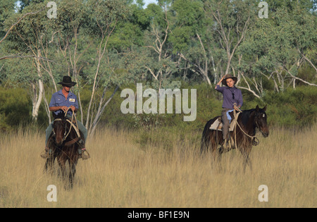 Cowboys on horseback, outback, tourism experience, man and woman ...