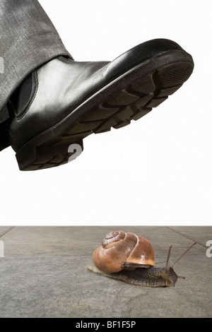 boot and snail Stock Photo - Alamy