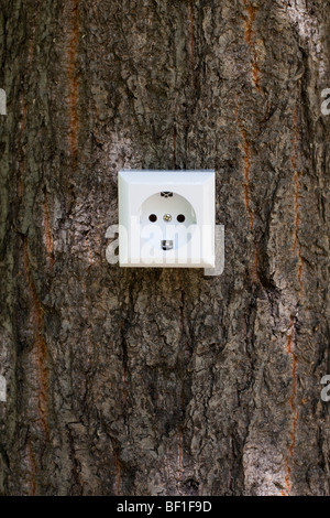 tree trunk close up in nature Stock Photo - Alamy