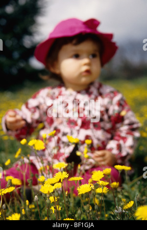 Faustine 16 months old playing in a yellow wild flower field Stock ...