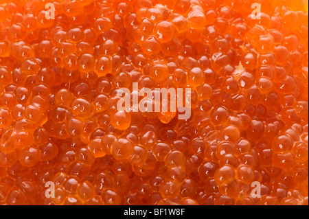 object on white - Red caviar close up Stock Photo - Alamy