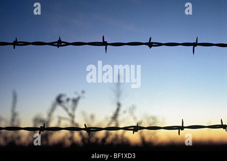 Barbed wire at sunset Stock Photo - Alamy