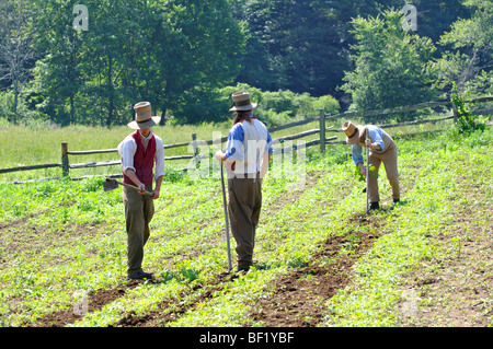 Farmer - American Revolutionary War (1770's) era reenactment Stock ...