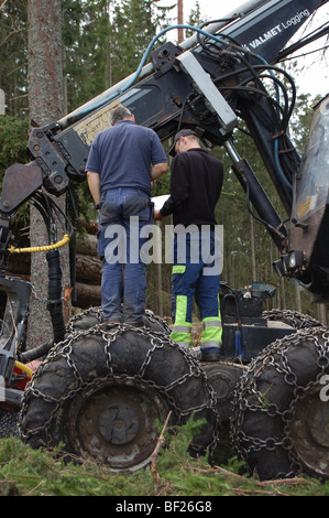 a Valmet logging machine cutting a tree in woodland Limousin France ...