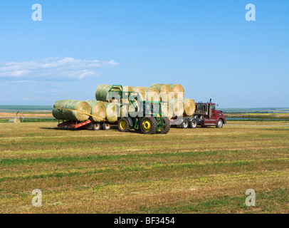 loading hay bales onto a truck Stock Photo - Alamy