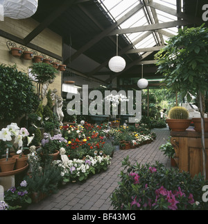 Plants in glass containers on a wooden table at home Stock Photo - Alamy