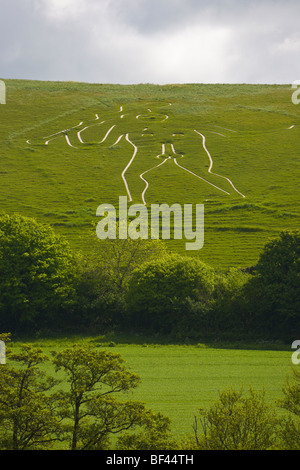The Cerne Abbas Giant an ancient hill figure cut in the chalk hills in ...