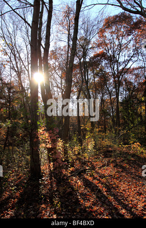 Blydenburgh Park, Long Island, NY Stock Photo - Alamy