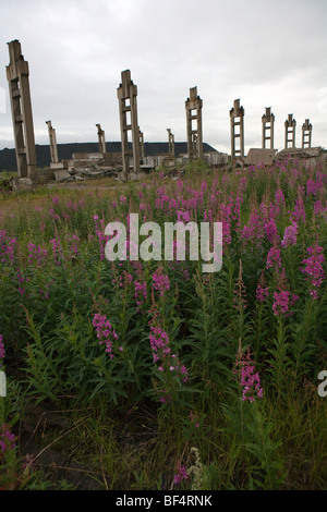 polyarny russian arctic urals Stock Photo - Alamy