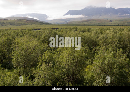 polyarny russian arctic urals Stock Photo - Alamy