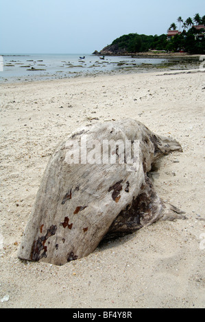 Thailand Ko Samui Choeng Mon beach Stock Photo - Alamy
