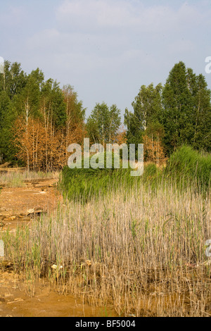 polluted countryside next to karabash in the urals russia Stock Photo ...