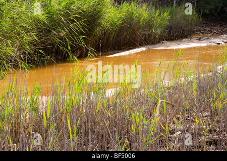polluted countryside next to karabash in the urals russia Stock Photo ...